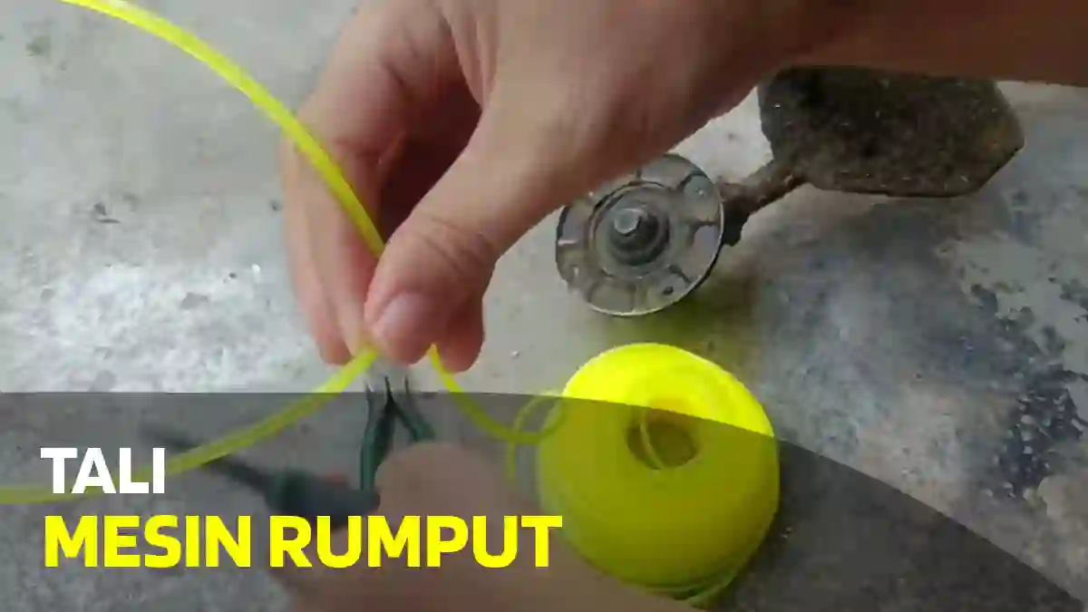 Harga Tali Mesin Rumput Murah 2026 - Infomesin.my